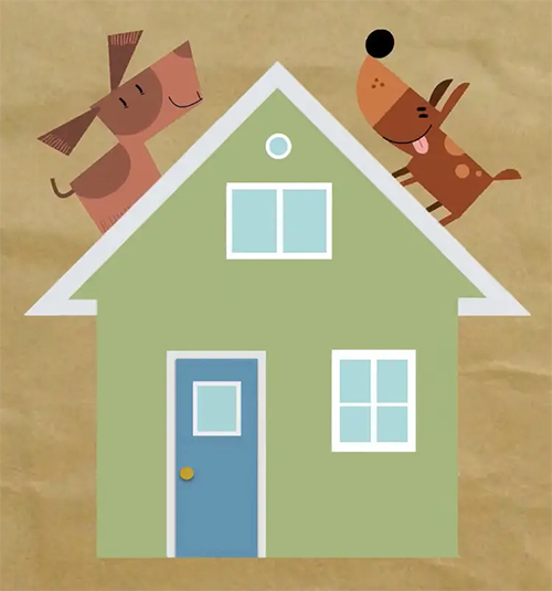 Advice from Roommates: Sharing Spaces with Multi-Pets - BADRAP