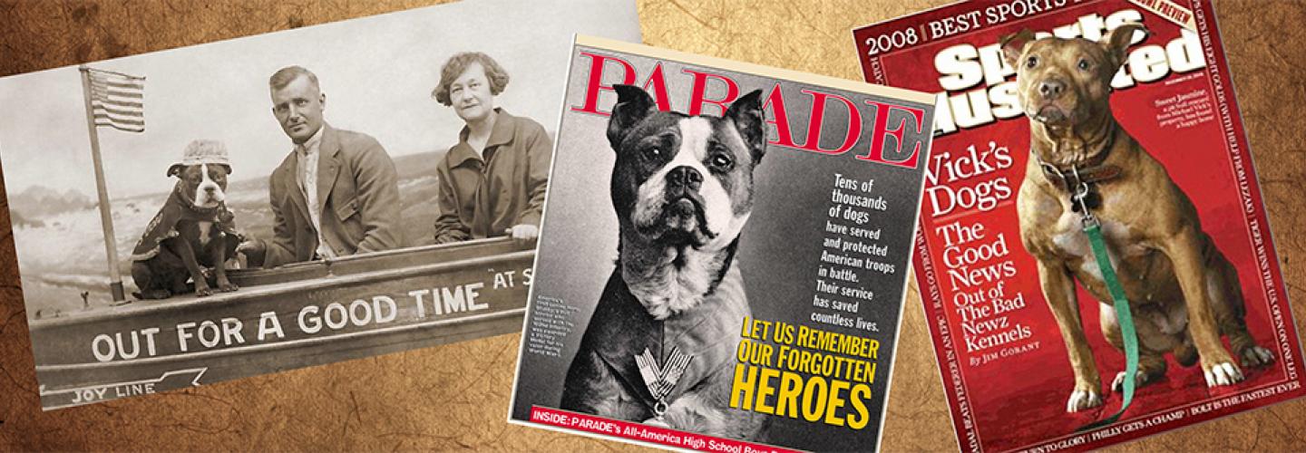 Breed History - BADRAP