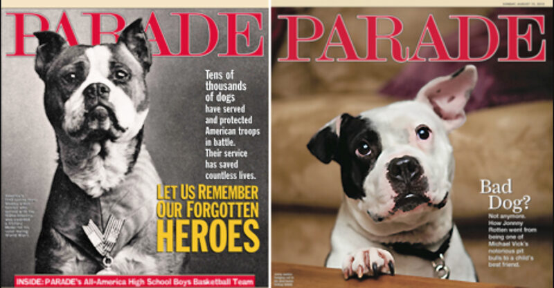 Breed History - BADRAP