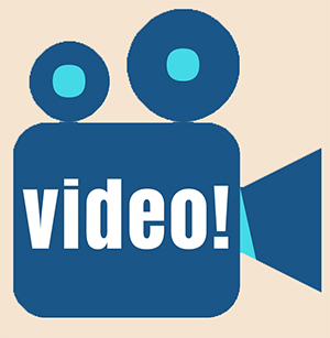 Rehoming a Dog - BADRAP